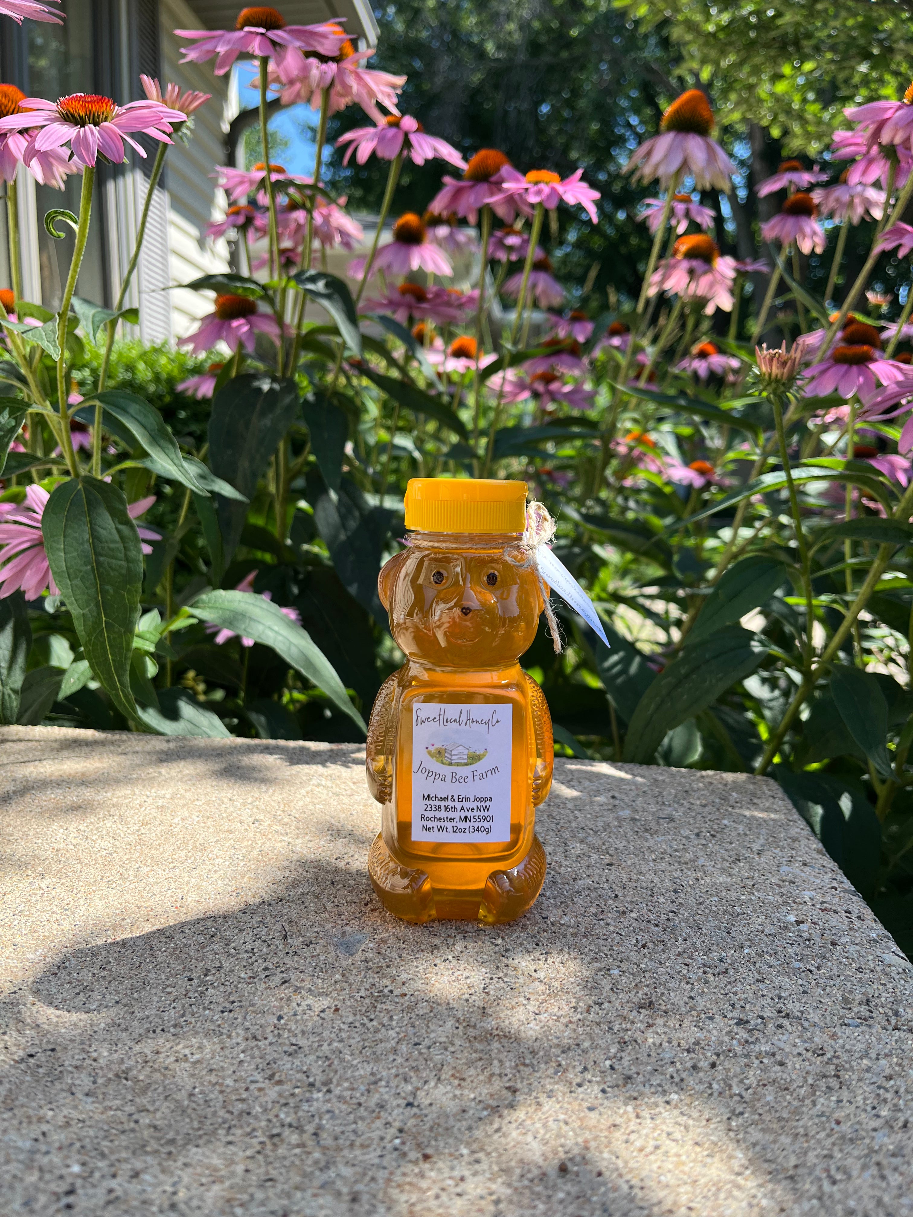 Spring Honey 12 oz Honey Bear – Sweet Local Honey Co
